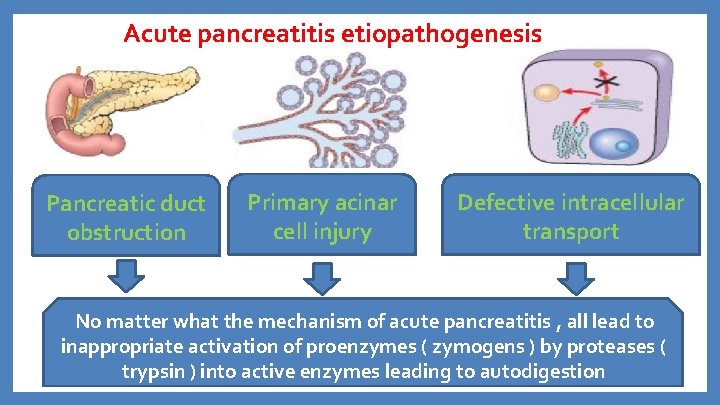 Pancreatitis Objectives Definition of Acute Pancreatitis Causes ...