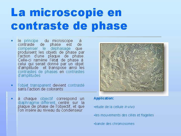 Microscopie photonique PRSENTATION DU MICROSCOPE PHOTONIQUE UTILISATION DU