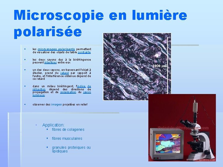 Microscopie photonique PRSENTATION DU MICROSCOPE PHOTONIQUE UTILISATION DU