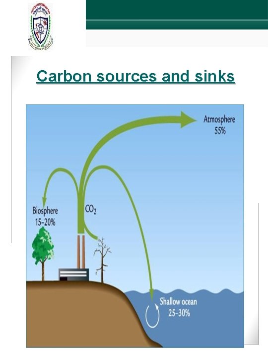 Carbon Capture and Utilization CCU MINE PORTAL TEAM