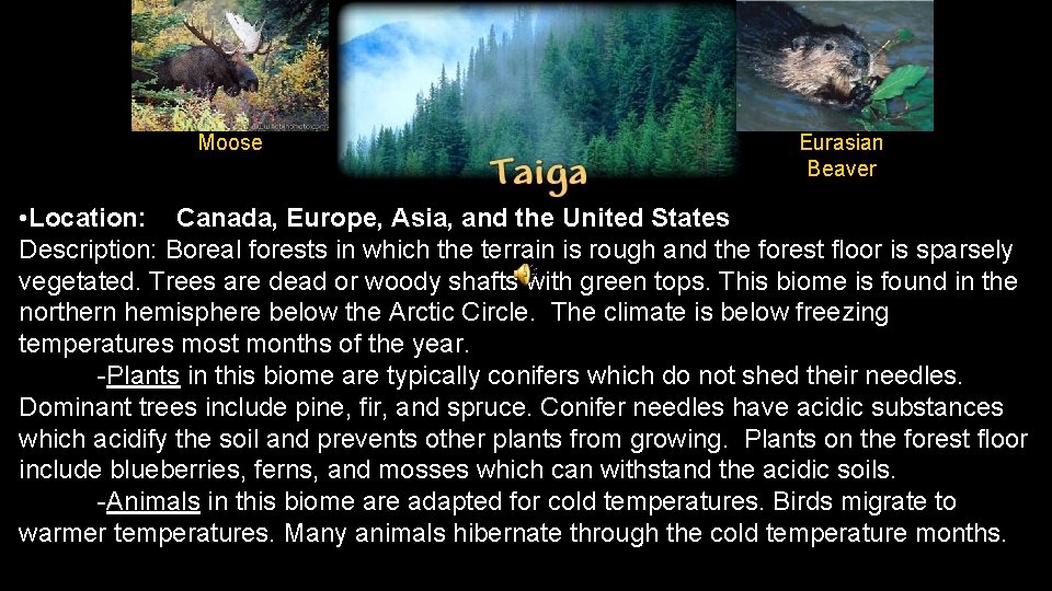 Biomes Notes Environmental Science Class Bonneville High School