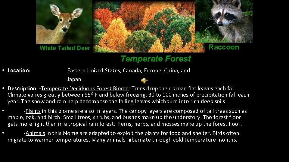 Biomes Notes Environmental Science Class Bonneville High School