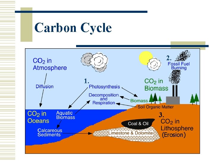 Cycling of Materials in Ecosystems Biogeochemical cycles the