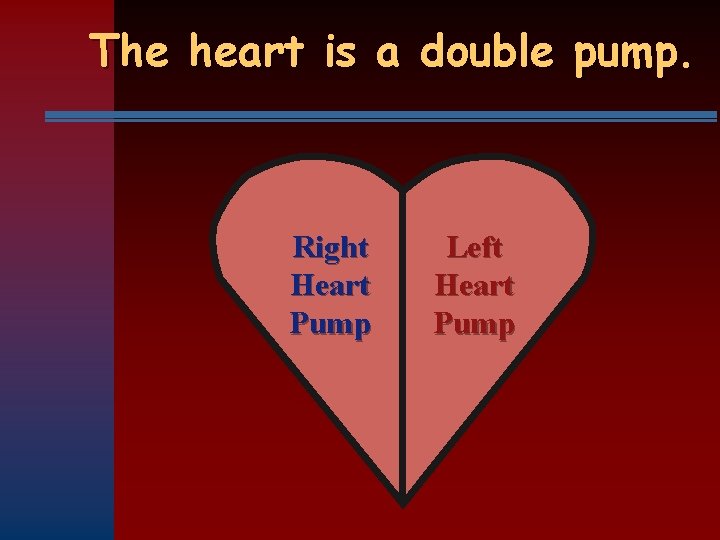 Drawing Activity Pathway of Blood Through Heart Health