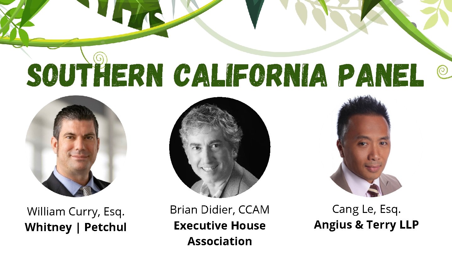 Everything You Need to Know And Maybe Dont