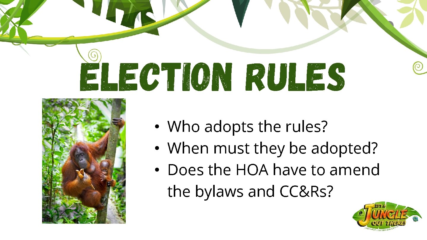 Everything You Need to Know And Maybe Dont