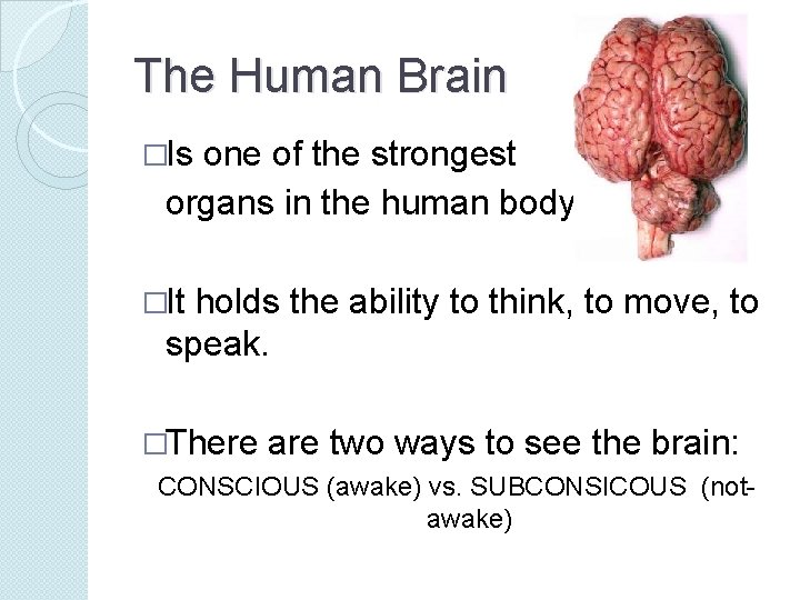 Brave New World Chapter Two Analysis Notes Chapter
