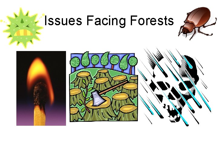 Issues Facing Forests Forest Fires Fire is part