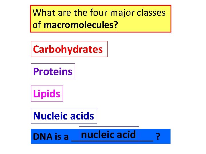 Review DNA What are the four major classes