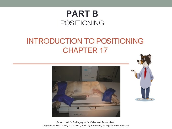 PART B POSITIONING INTRODUCTION TO POSITIONING CHAPTER 17