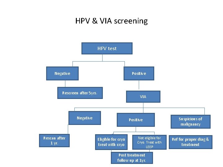 Pap smear interpretation By Dr N Sundari What
