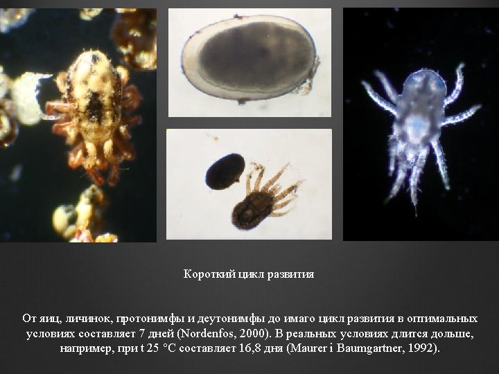 Axtell R C 1981 Livestock integrated pest management