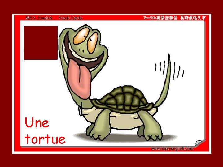 Les animaux gros ou petits Un cheval des