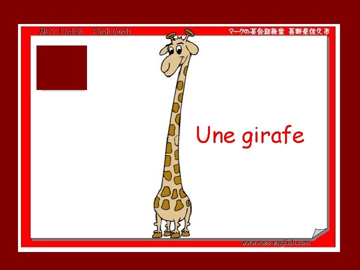 Les animaux gros ou petits Un cheval des