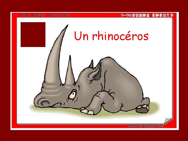 Les animaux gros ou petits Un cheval des