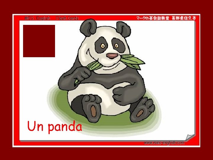 Les animaux gros ou petits Un cheval des