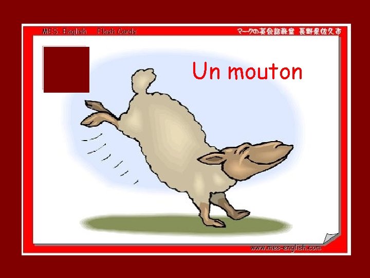 Les animaux gros ou petits Un cheval des