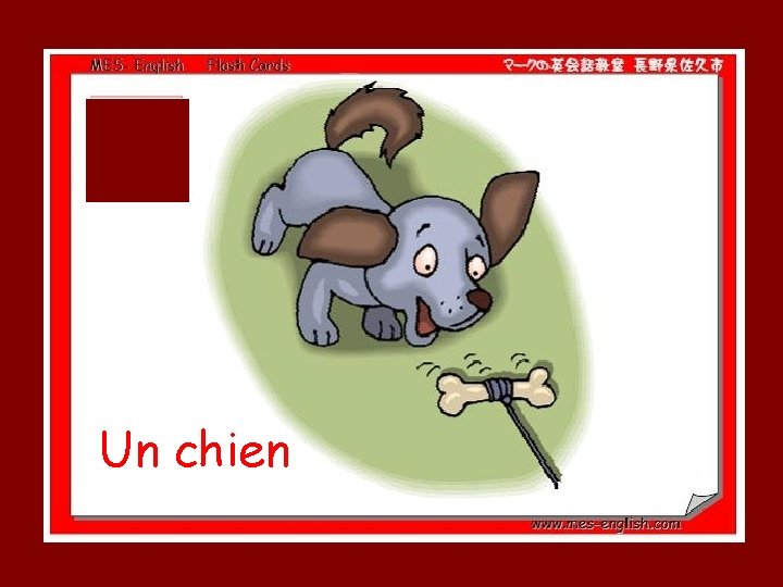 Les animaux gros ou petits Un cheval des