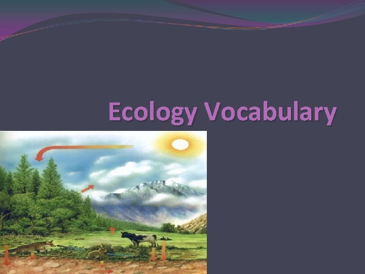 Ecology Vocabulary ECOLOGY Definition Study of the relationship