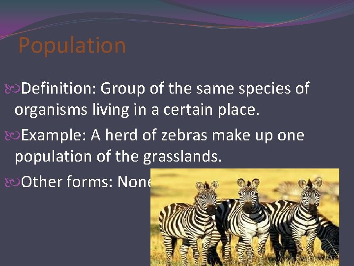 Ecology Vocabulary ECOLOGY Definition Study of the relationship