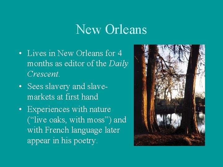 Walt Whitman Americas Poet Birth and Early Career