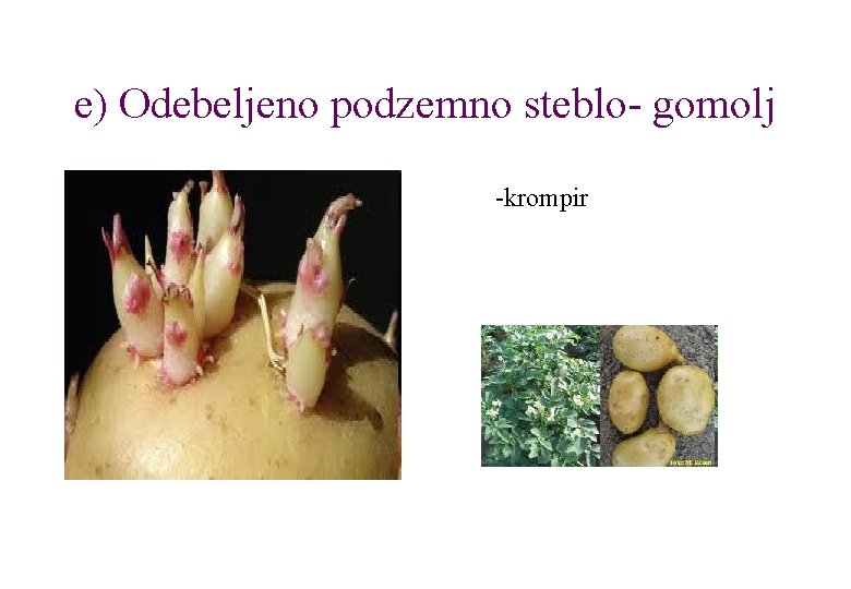 STEBLO DZ str 133 135 Navodilo za delo