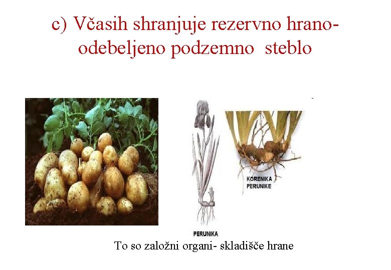 STEBLO DZ str 133 135 Navodilo za delo