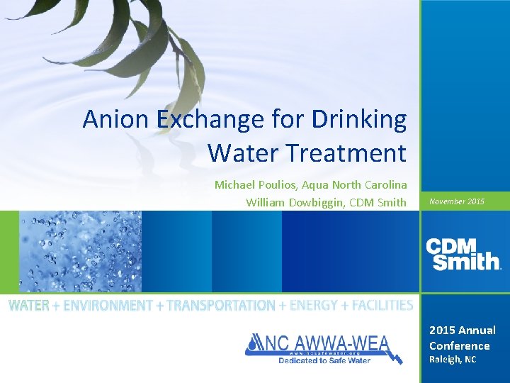 Anion Exchange for Drinking Water Treatment Michael Poulios