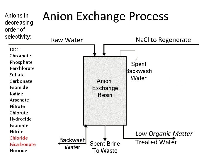 Anion Exchange for Drinking Water Treatment Michael Poulios