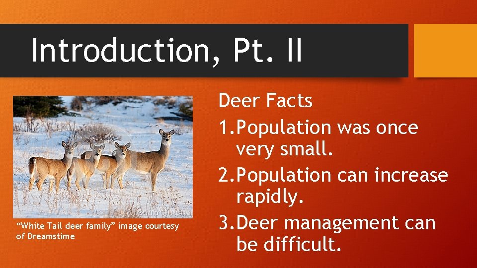 Deer Management By Bryan Studaker WRT 160 27
