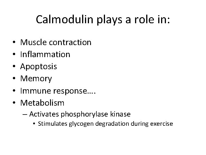 Regulation of Metabolism Regulation of Metabolism How does
