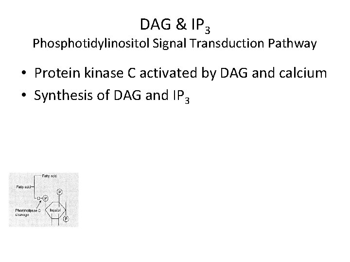 Regulation of Metabolism Regulation of Metabolism How does