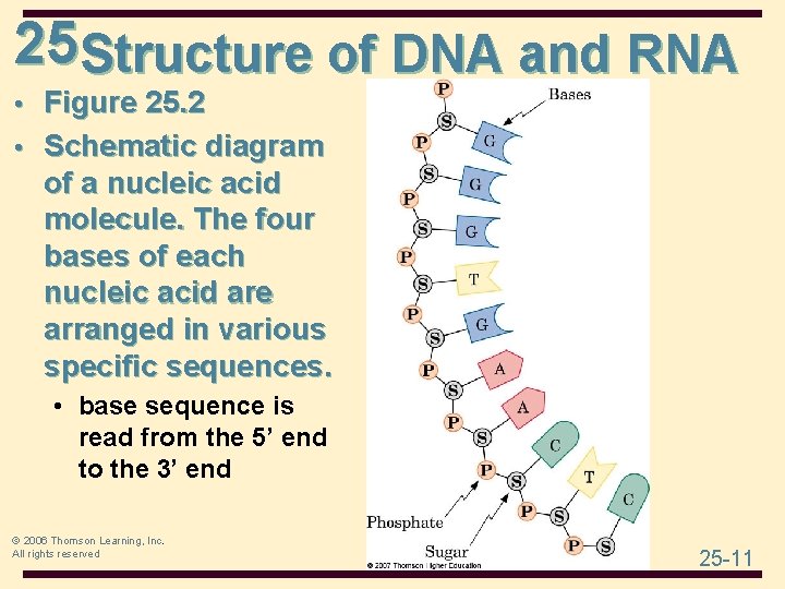 25 General Organic and Biochemistry 8 e Bettelheim