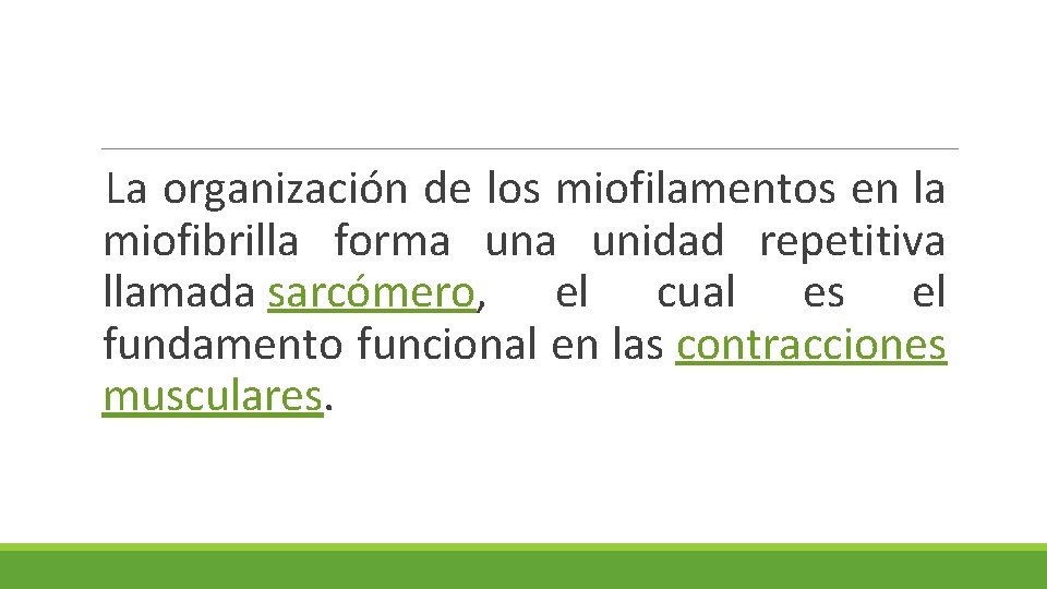 Sistema muscular ESTRUCTURA MICROSCPICA DEL MSCULO Msculo Formado