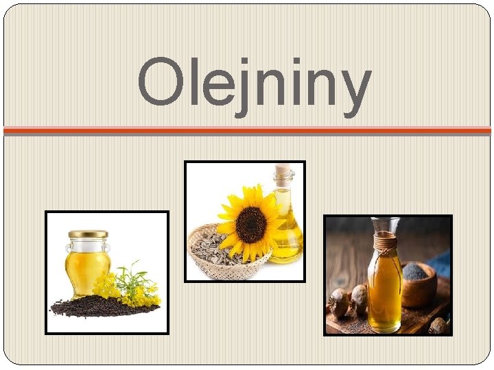 Pon plodiny Olejniny okopaniny Pracovn vyuovanie 7 ronk