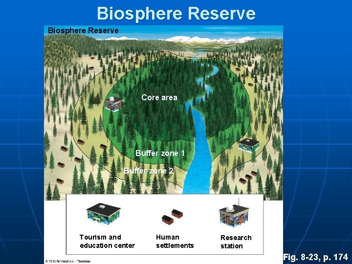 Sustaining Biodiversity The Ecosystem Approach Chapter 9 Types