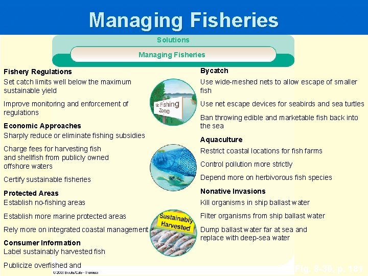 Sustaining Biodiversity The Ecosystem Approach Chapter 9 Types