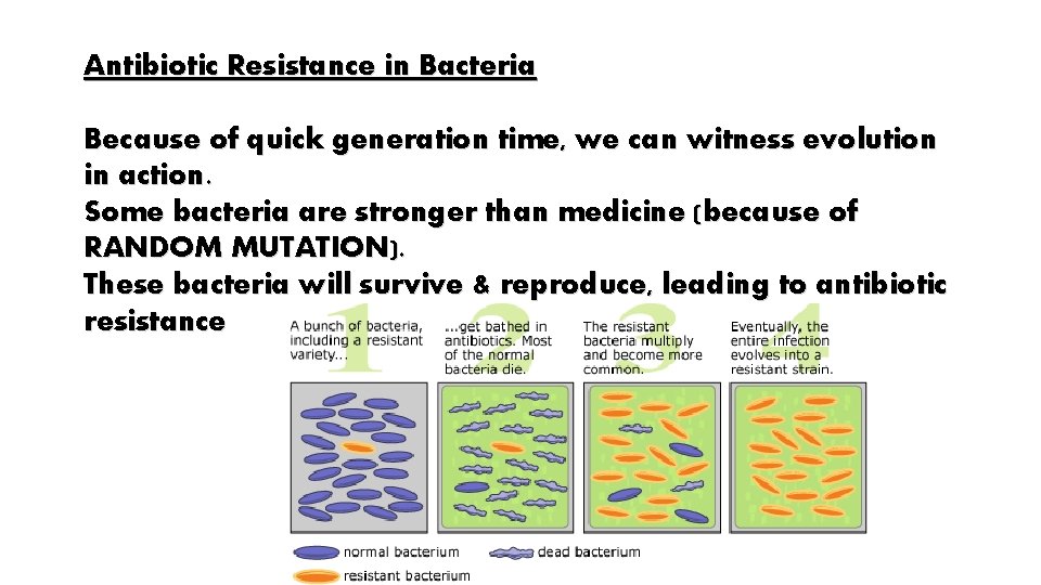 Human Genome Project collaborative effort to map out