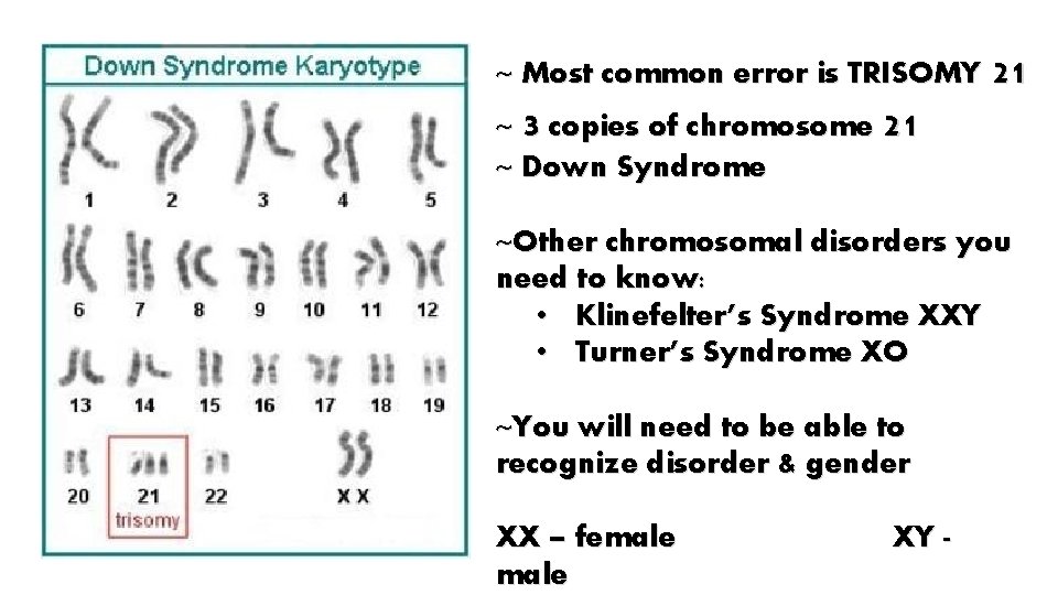 Human Genome Project collaborative effort to map out