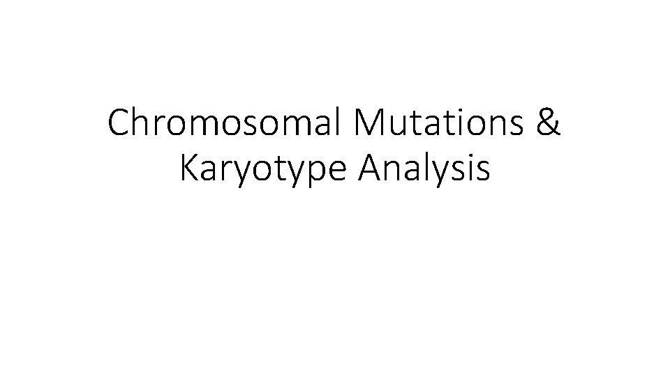 Chromosomal Mutations Karyotype Analysis 2 Chromosomal Mutations Change