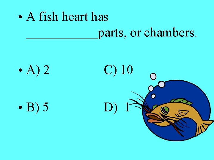 Organ Systems Do You Remember 4 th Grade