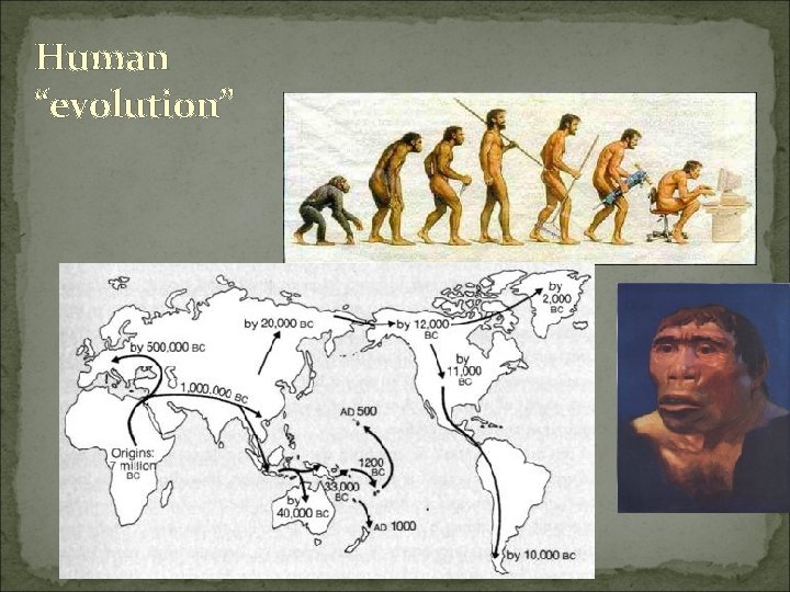 Chapter 1 The Early Civilizations AP World History
