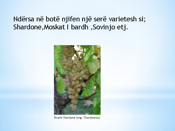 SHML e Agrobiznesit dhe Teknologjis Ushqimore Zenel Hajdini