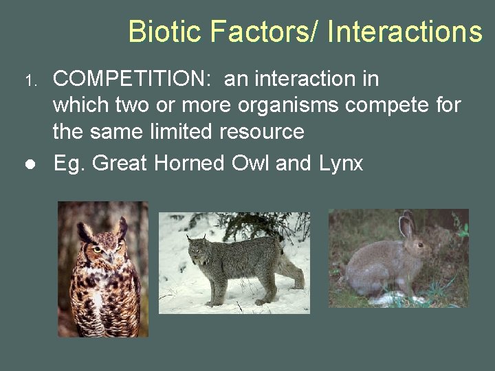 Unit D Living Systems Chapter 1 The biosphere