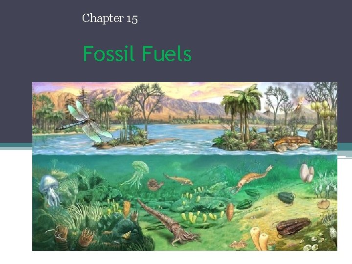 Chapter 15 Fossil Fuels Section 15 1 the