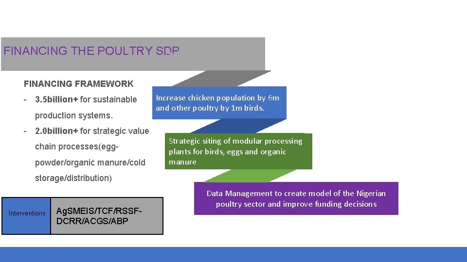 Strategic Development Pathways for the Nigerian Poultry Sector