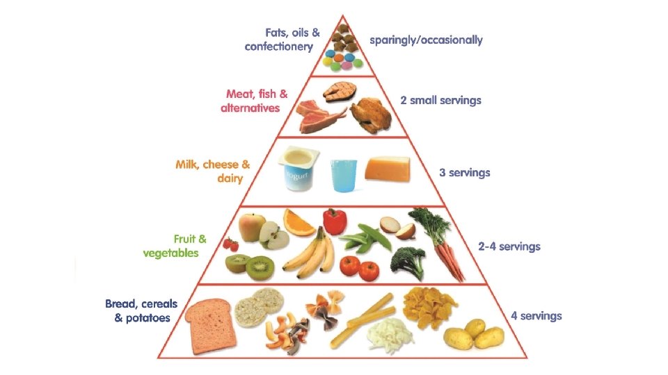 There are 5 main types of food in