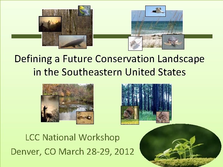 Defining a Future Conservation Landscape in the Southeastern