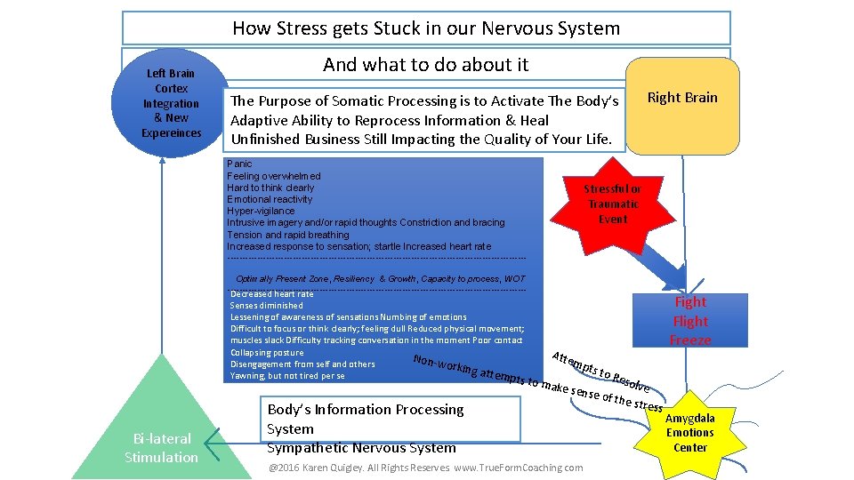 How Stress gets Stuck in our Nervous System