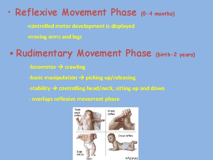 Motor Skills Ashira Hiruntrakul Ph D Important vocabulary